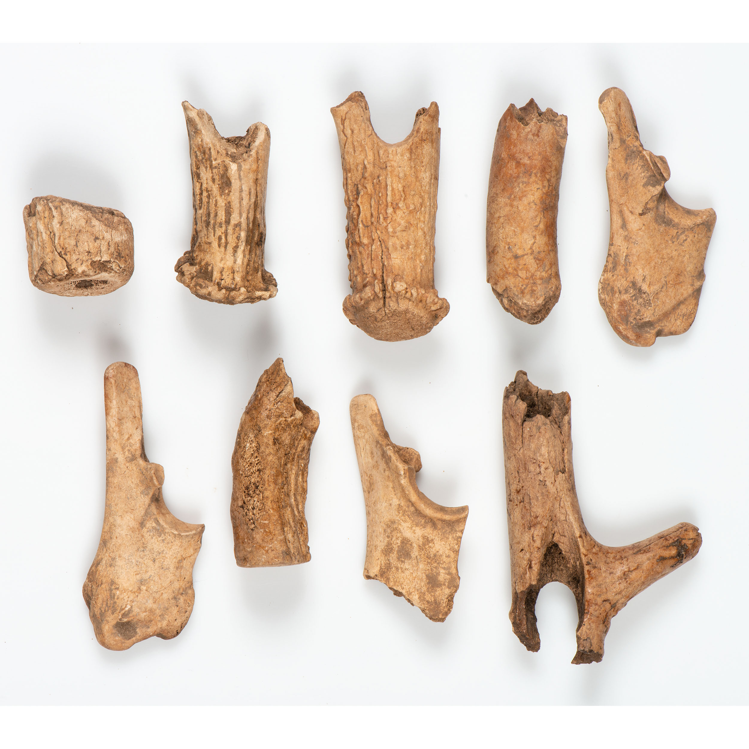 Ancient Bone Tools