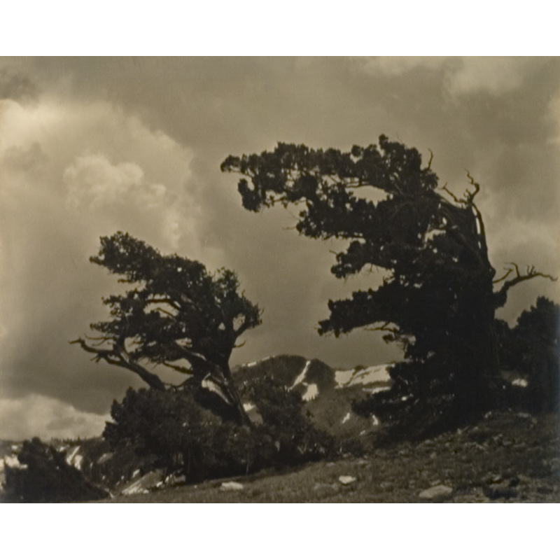 John Paul Edwards: upcoming auctions, appraisal insights and free art ...