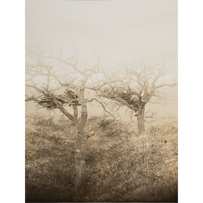 D.F. Barry Indian Burial Photographs with ALS Describing the Scenes ...